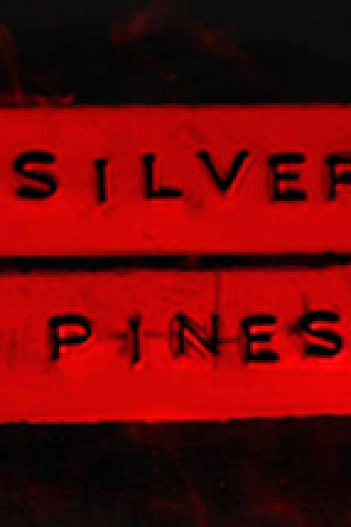 Silver Pines | Channel 3 Gaming