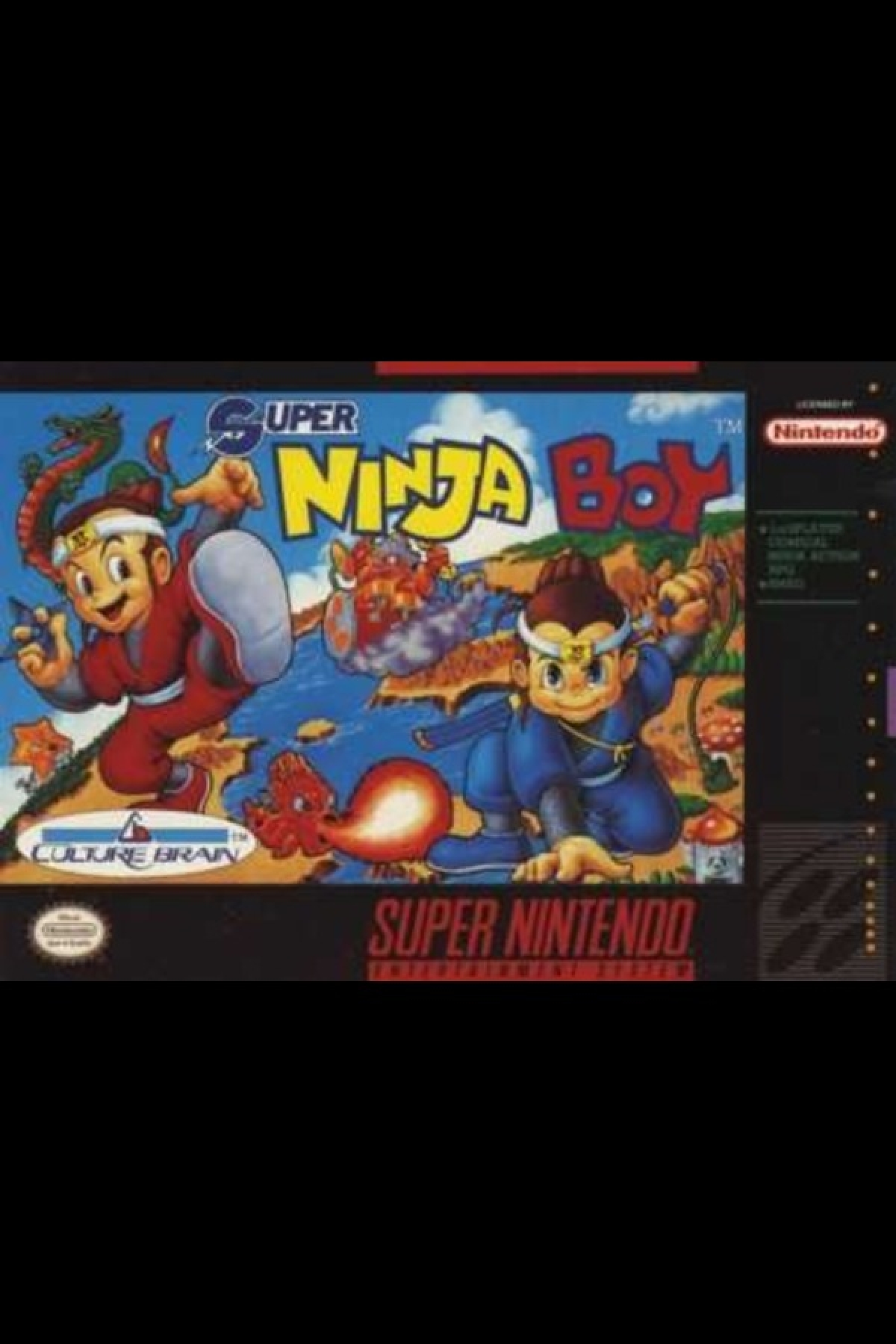 Super Ninja Boy | Channel 3 Gaming