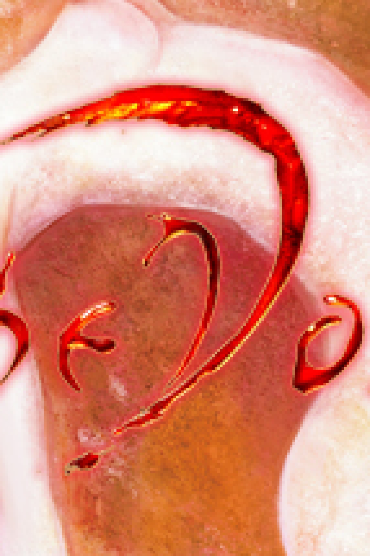 The Void | Channel 3 Gaming